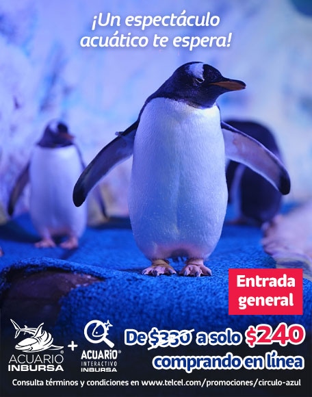 Acuario Inbursa Logo