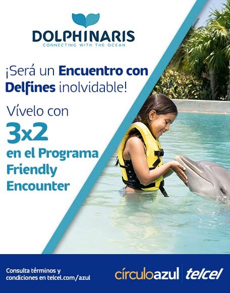 Inspirador nado con Delfines | Telcel